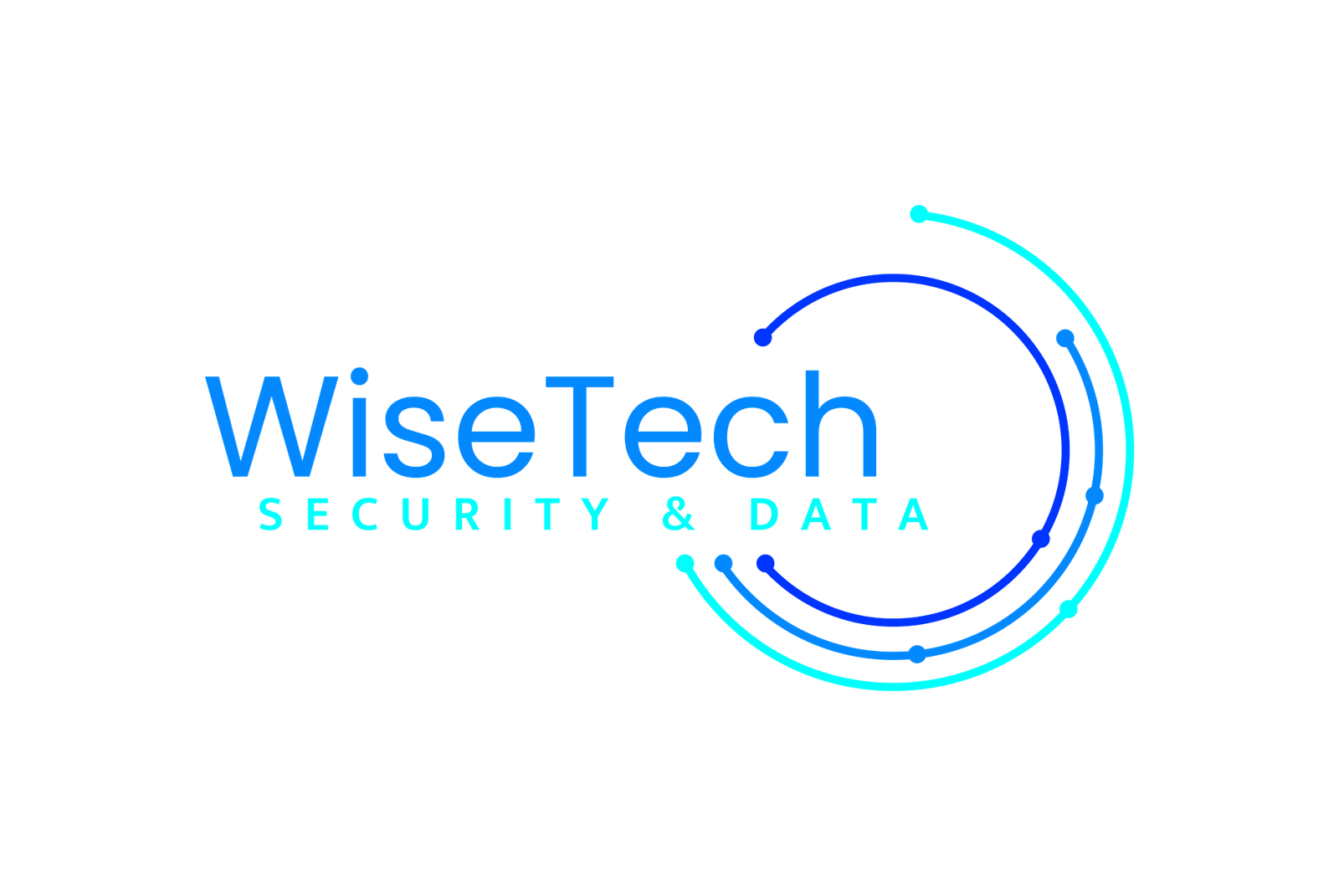 Wisetech Security